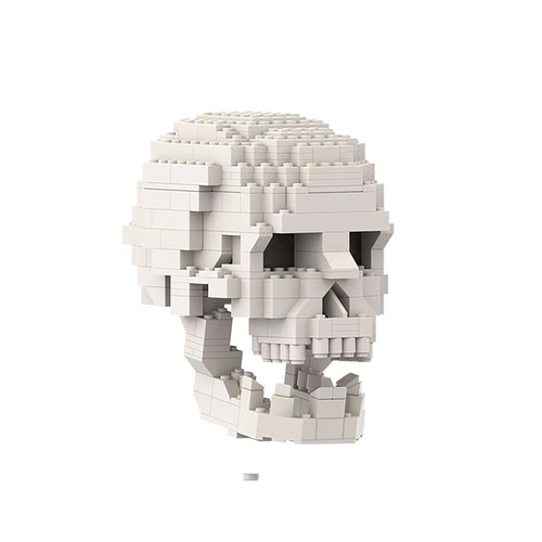 Human Skull with Brain Construction & Building Toys Set 410 Pieces ...