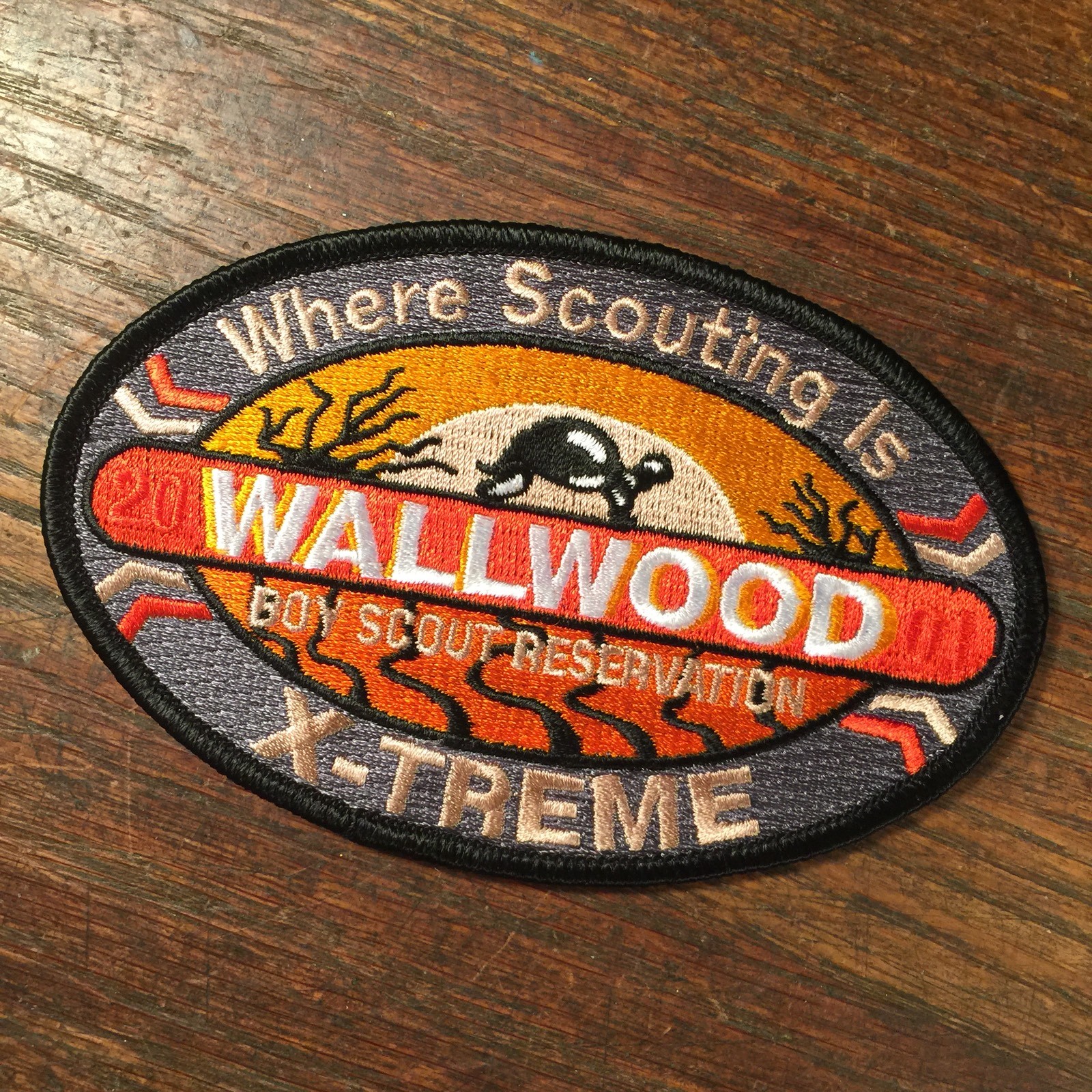 BSA Patch Boy Scouts of America Utah Reservation Wallwood X-Treme ...