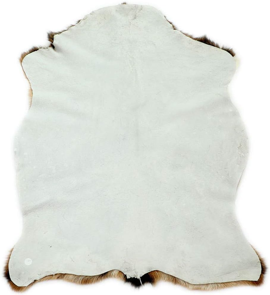 Red Deer Hide Rug - Rustic Taxidermy Decor for Home, Office, or Cabin 3 ...