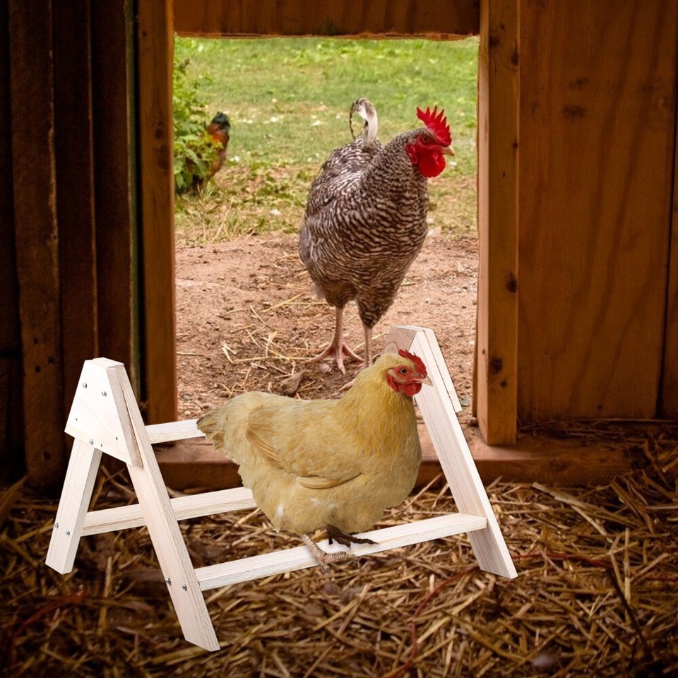 Chick Stand Bird Frosted Perch Chicken Standing Rack Chicks Wood Toys ...
