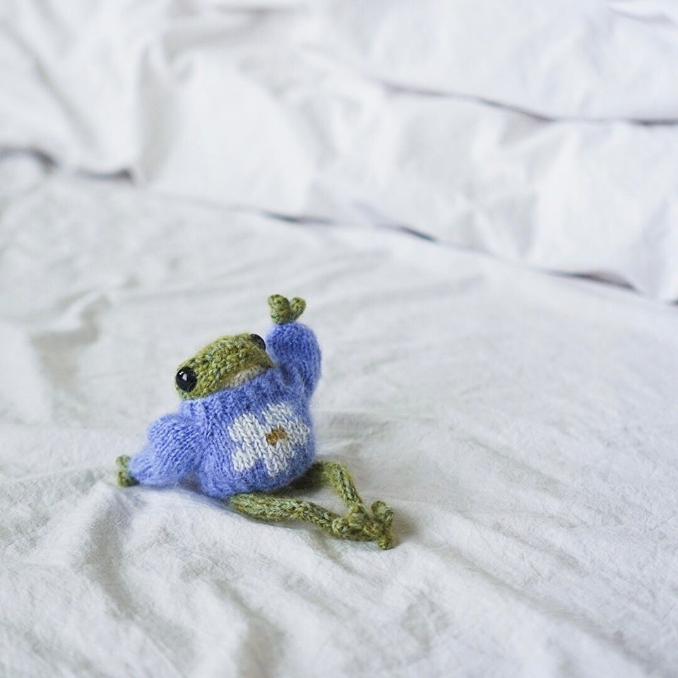 KNITTING KIT Little Frog to knit Five Frogs - Claire Garland Dot ...