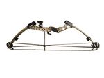 Hoyt Magnatech ZR200 Bow for sale online | eBay