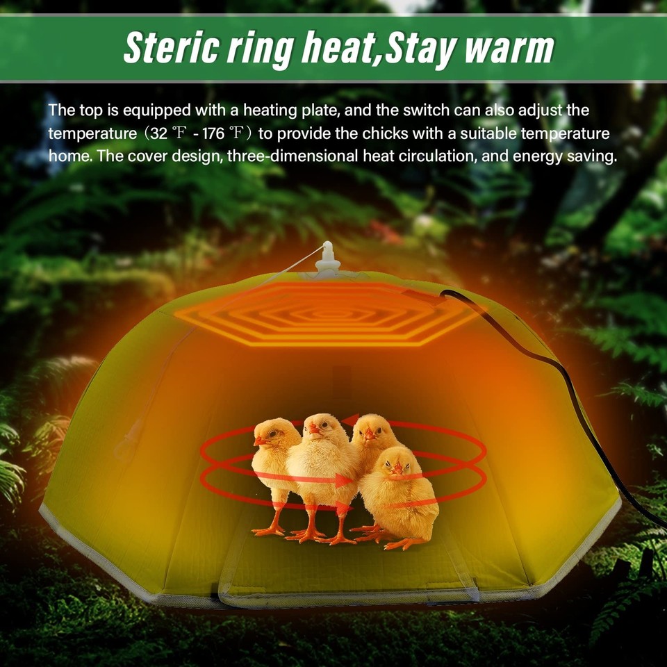 Chicken Brooder Box for Chicks Brooder Plate Chick Heater Warmer for 10 ...