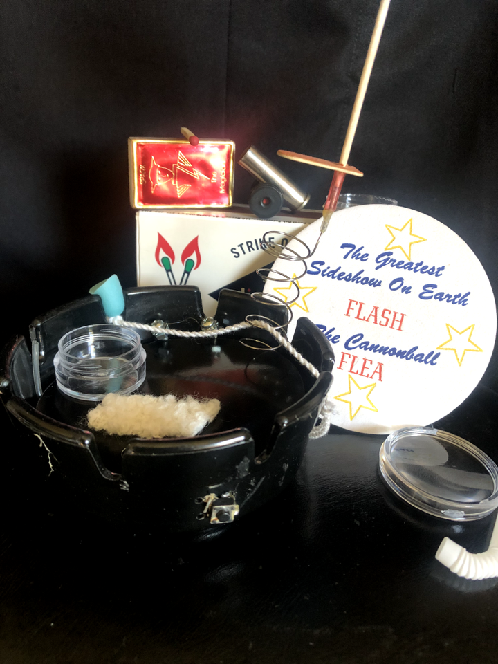 CIGAR BOX FLEA CIRCUS SIDESHOW ACT DELUXE BY G SPARKS MAGIC | eBay