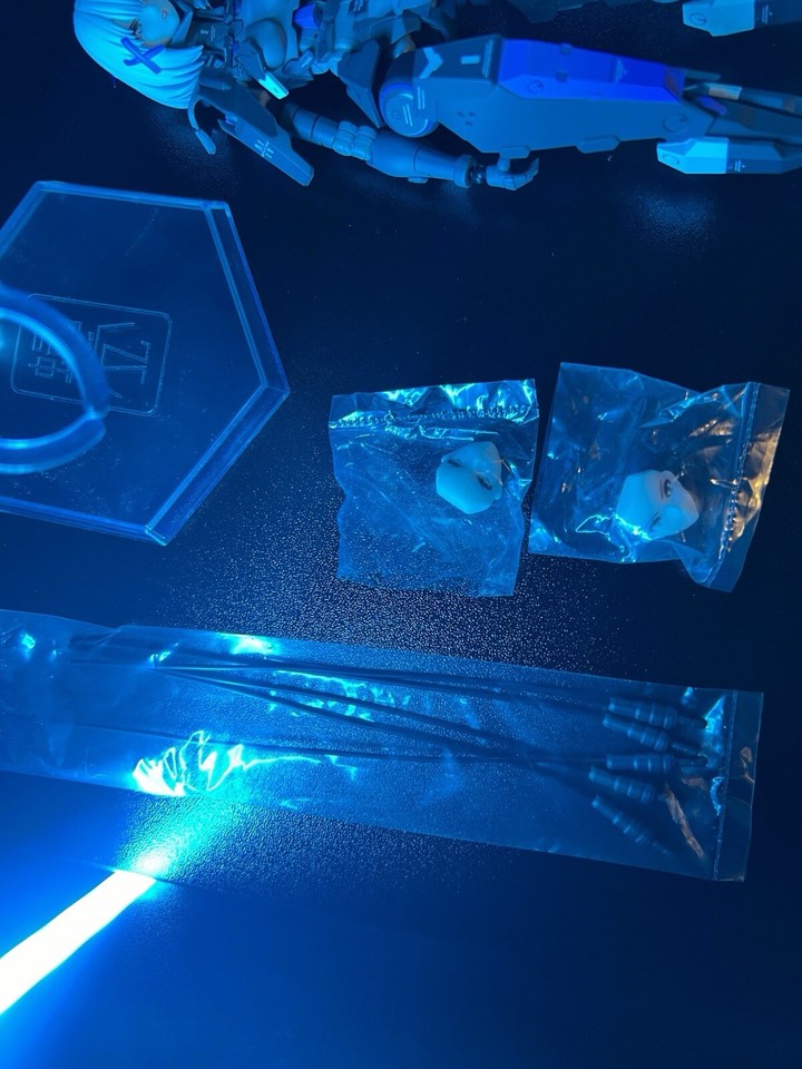 Snail Shell Punishing: Gray Raven Rosetta: Rigor 1/12 Action Figure | eBay