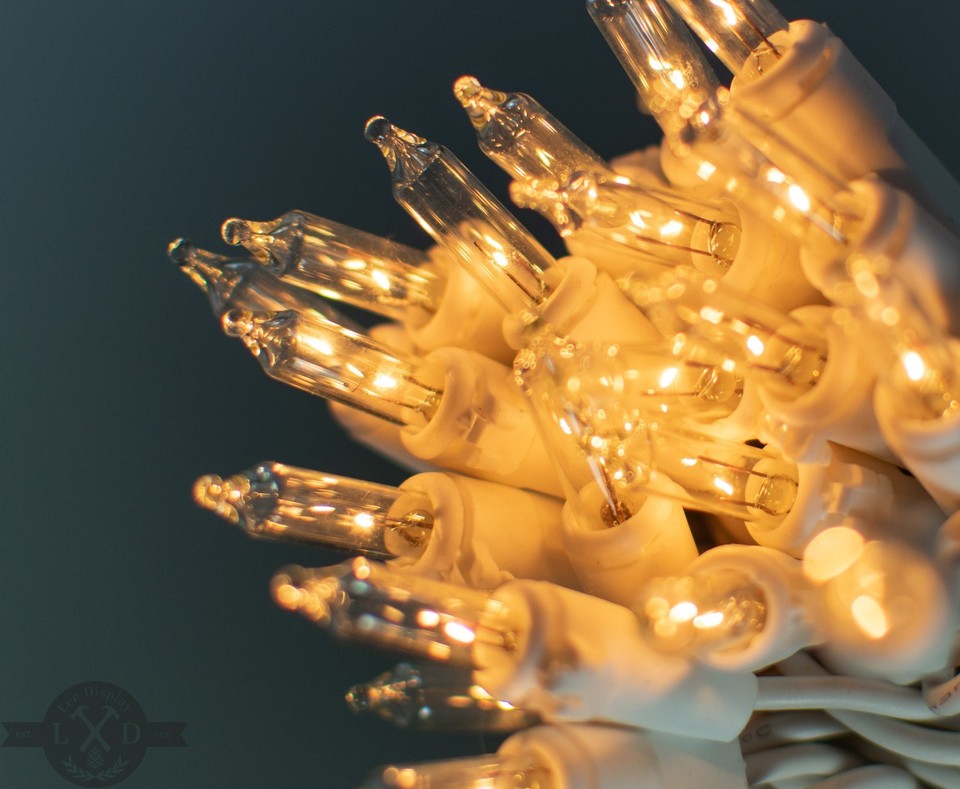 Mini Christmas Lights Set Steady Mini Light String Lighting Holiday 50 ...