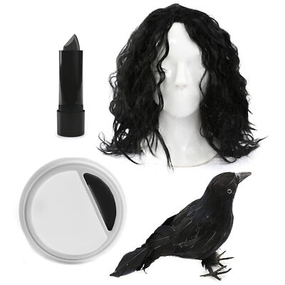 THE CROW COSTUME HERO ADULTS FANCY DRESS HALLOWEEN WIG FACEPAINT CROW ...