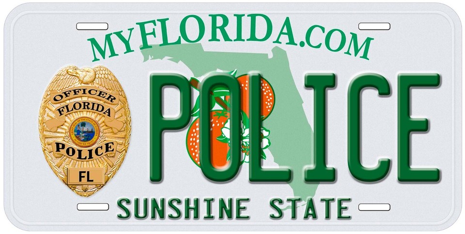 Any US State Personalized Police Custom Car License Plates | eBay