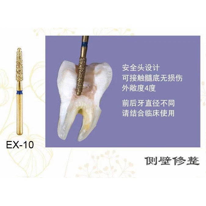 1Set Dental burs preparation Pulpotomy access Open pulp cavity Bur kit ...