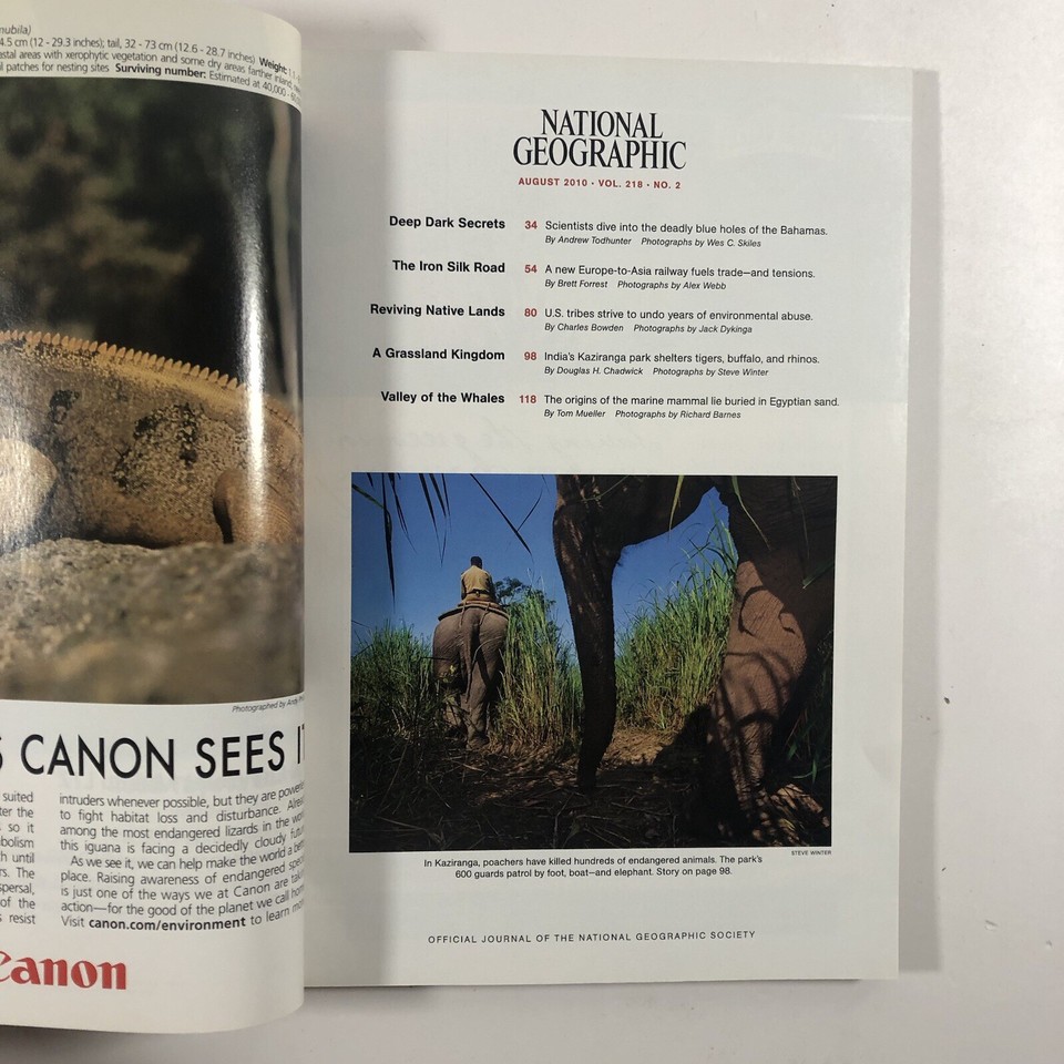 National Geographic August 2010 Dive To Bahamas Blue Holes Rhinos | eBay