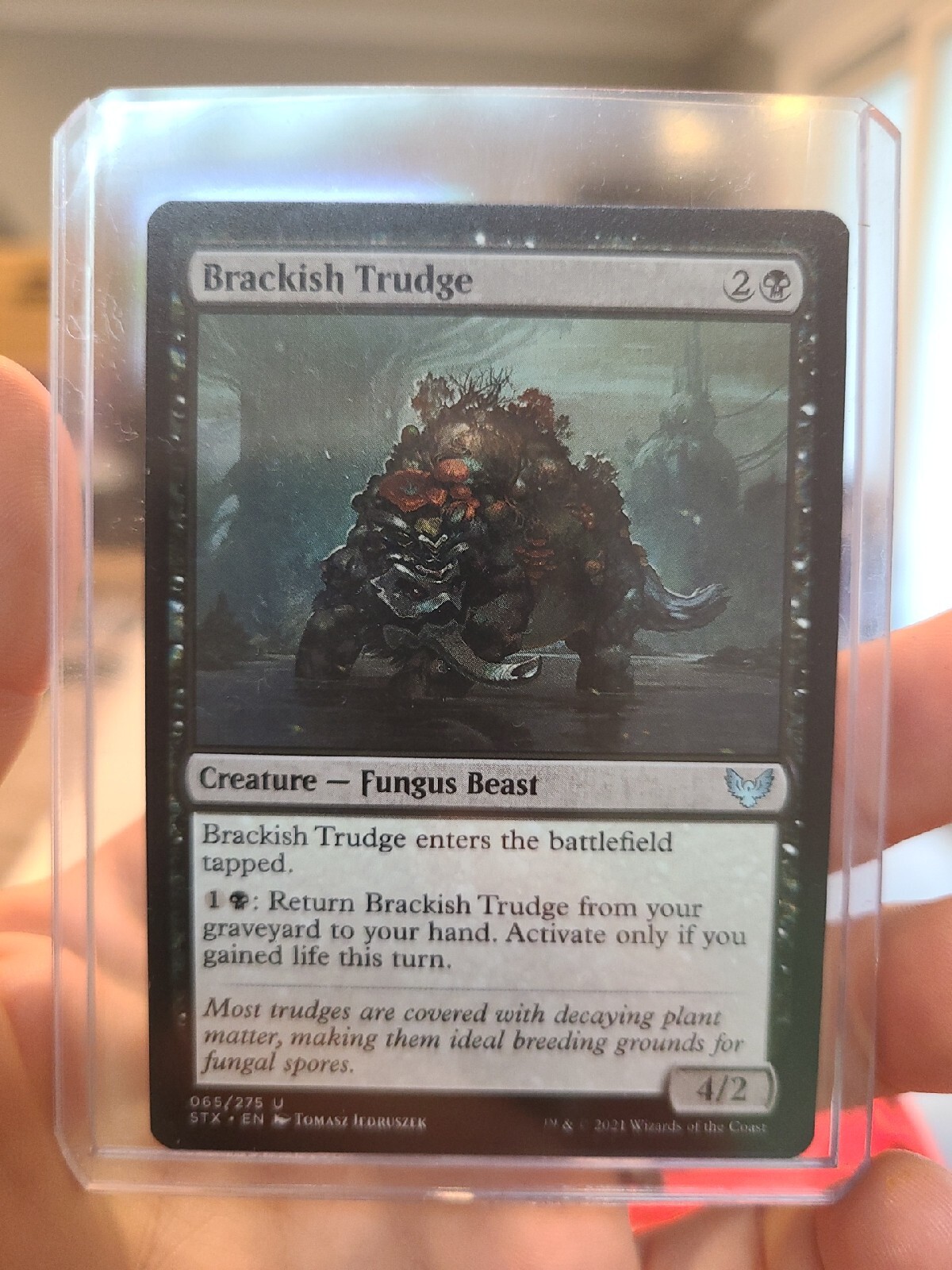 Brackish Trudge Foil (065) Strixhaven: School of Mages STX MTG Magic ...