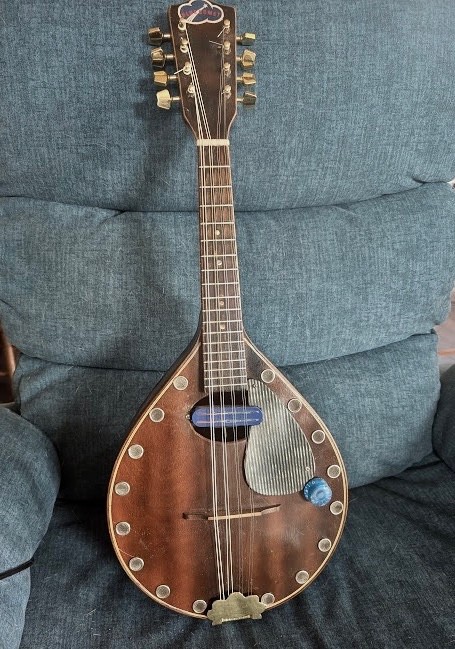 VINTAGE REGAL BLUE COMET MANDOLIN / LUTHIER RESTORED +PICKUP+ NEW HQ ...