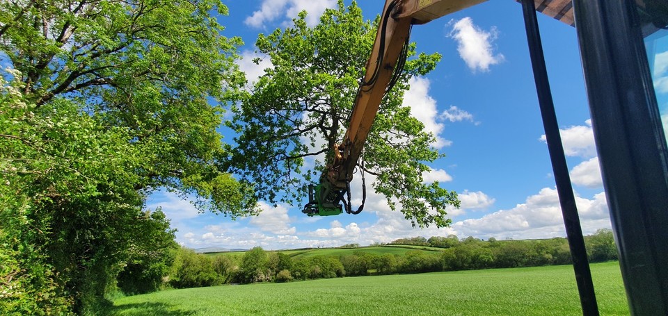 RSL 170 degree Ram Pivot Tree Shear grabs tree then safely cuts upto 12 ...