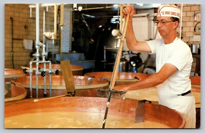 OHIO SWISS CHEESE SUGARCREEK DAIRY MUELLERS HOUSE cutting CURD HARP ...