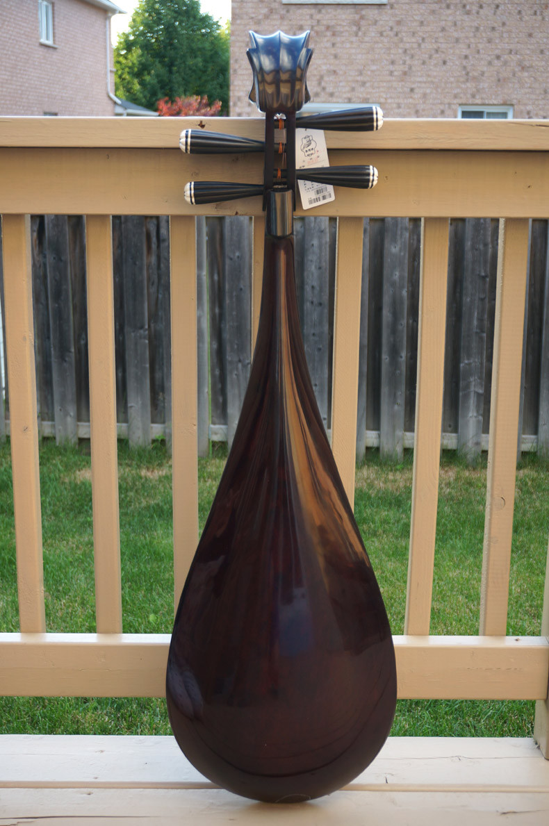 DUNHUANG Pipa, Chinese Lute - Professional Rosewood Pipa With Case ...