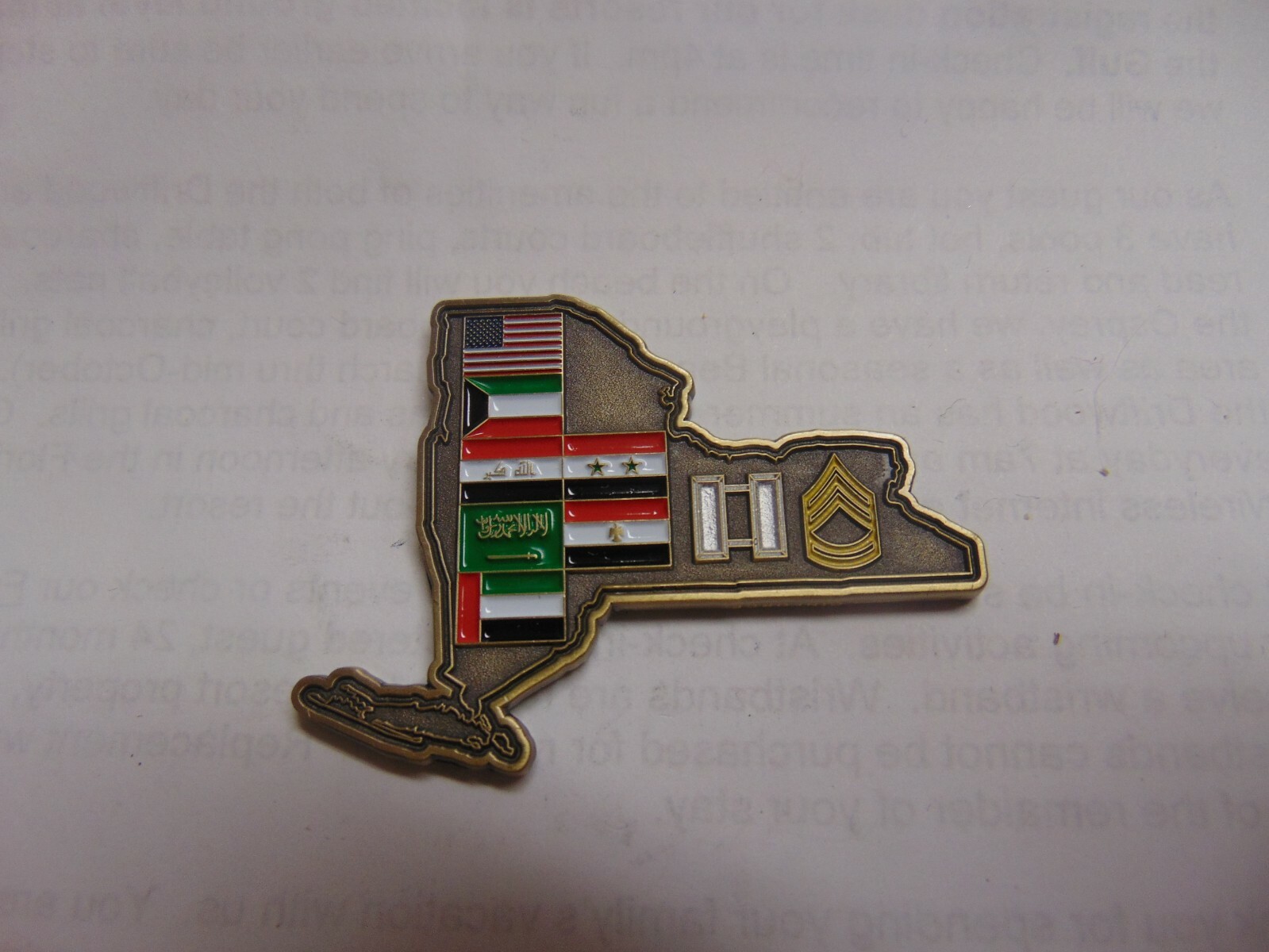 CHALLENGE COIN 408TH HUMAN RESOURCES COMPANY POSTMASTERS IRAQ ...