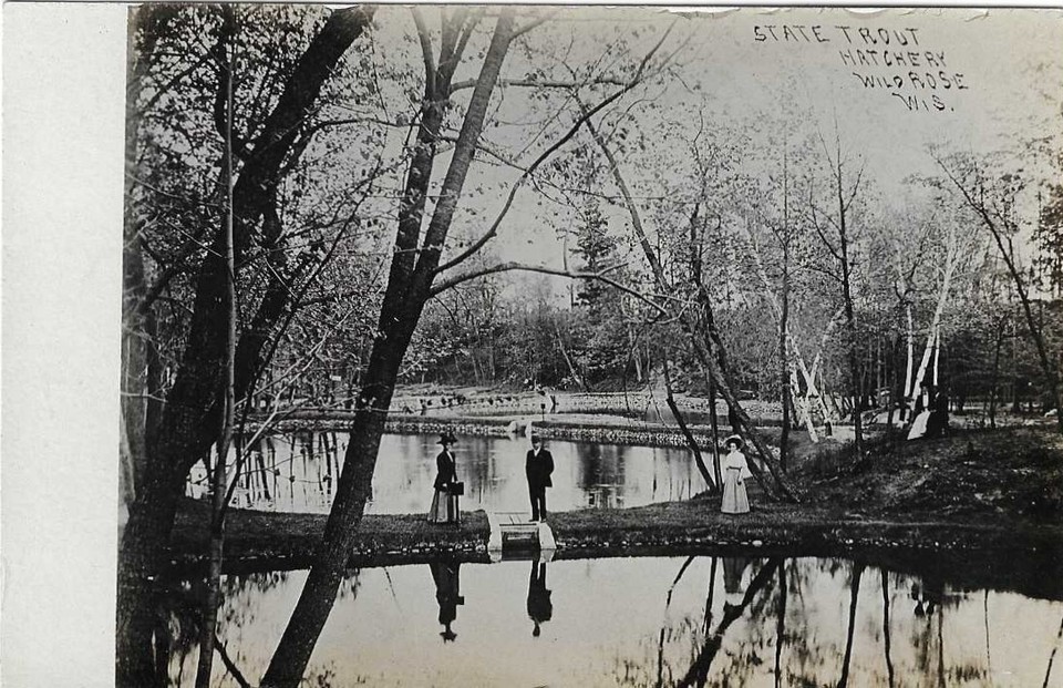 WI RPPC State Fish Hatchery Ponds & People, Wild Rose Wisconsin Real ...