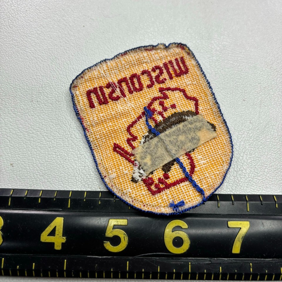 VINTAGE State of WISCONSIN Badger Patch T058 | eBay