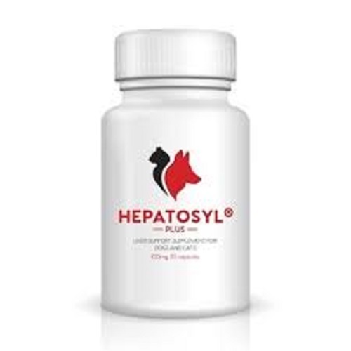 Hepaticare Capsules for Cats - 60 X 50mg for sale online | eBay