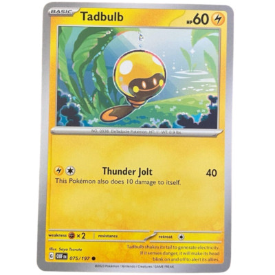 Tadbulb 075/197 - Obsidian Flames - Common - Pokemon Card TCG | eBay
