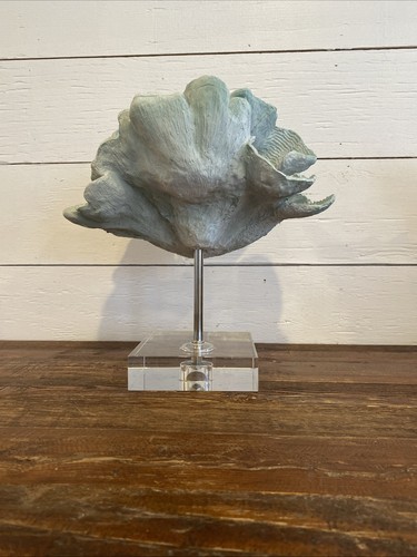 vintage Pier 1 sea shell art On Glass Stand. Rare And Heavy Duty. | eBay