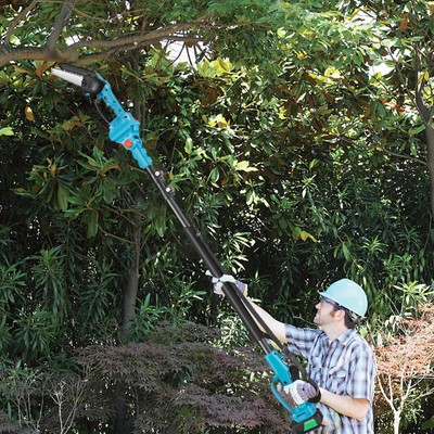 Cordless Battery Pole Chain Saw Electric Extendable Chainsaw Tree ...