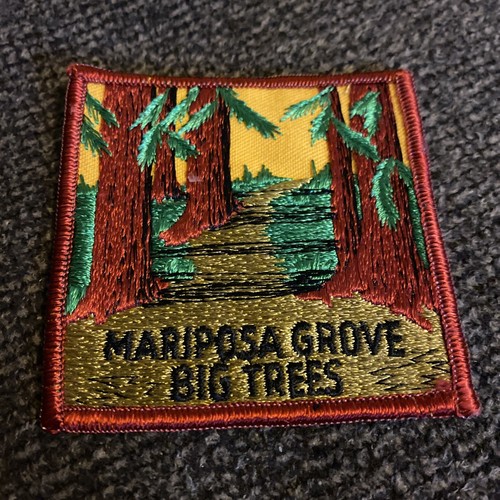 VTG MARIPOSA GROVE BIG TREES Souvenir Iron On Patch | eBay