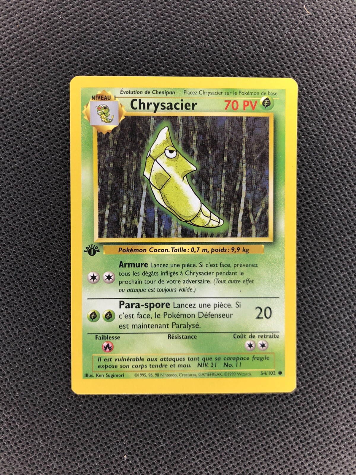 Pokemon Metapod (Chrysacier) 1st Edition Base Set French #54/102! Mint ...
