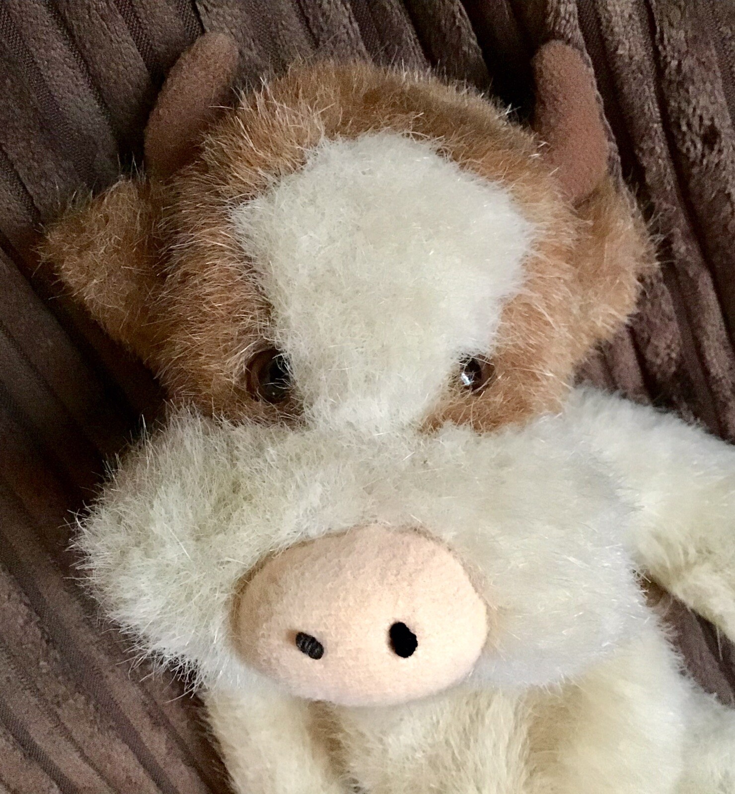 Boyds Collection Cream Brown Cow Bull Jointed Soft Plush Beanie Toy 8 ...
