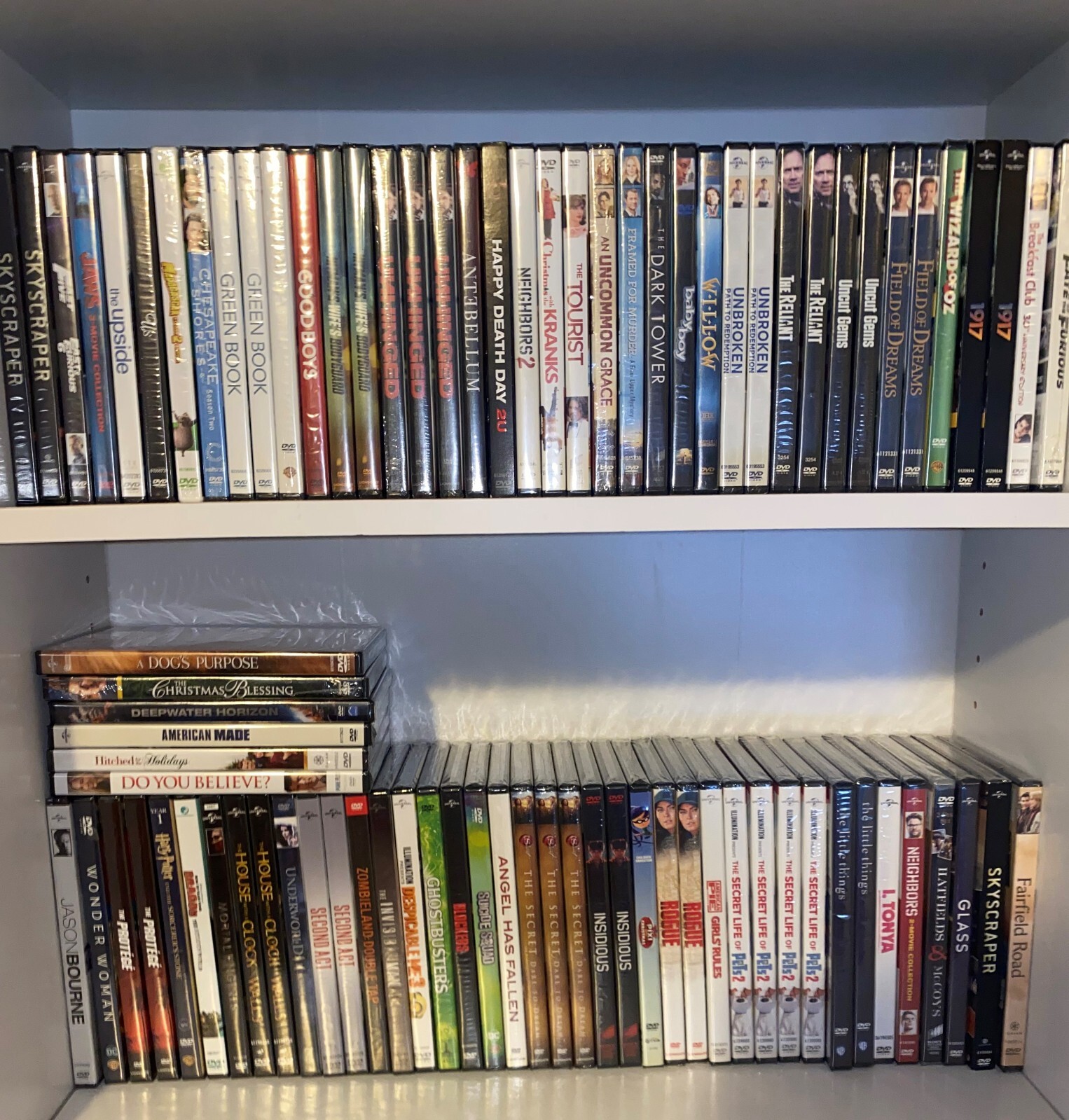 NEW DVDs SEALED FREE SHIPPING! | eBay