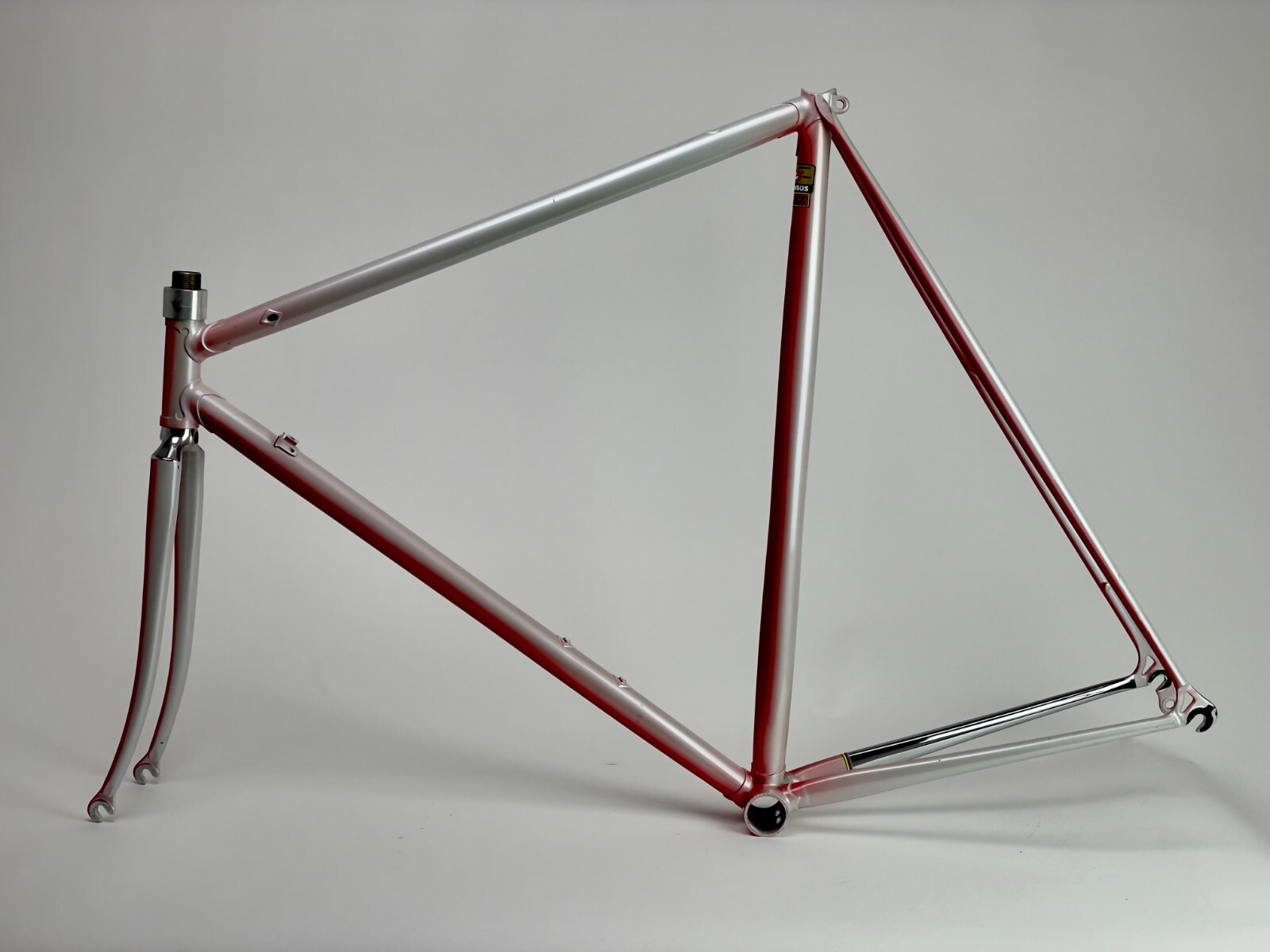 Vintage Lugged Steel Time Trial TT Funny Bike Bike Frame Set 60cm ...