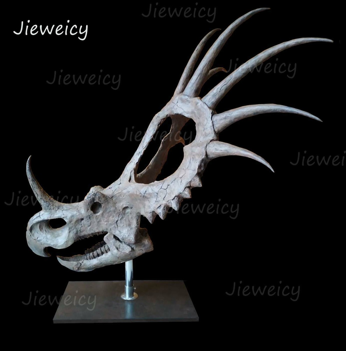 Esqueleto De Styracosaurus