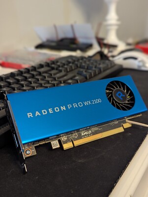 AMD Radeon Pro WX 2100 GDDR5 Graphics Card | eBay
