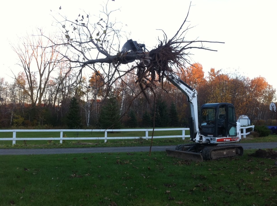 BOBCAT HYDRAULIC MINI EXCAVATOR THUMB PIN GRAPPLE CLAMP CLAW E42 E45 ...