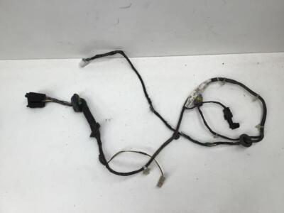 VY VZ Commodore SS Spac Berlina rear door loom RH right or LH left ...