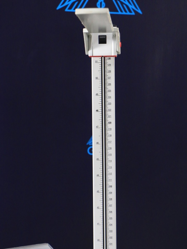 BEFOUR SCAL31MC Digital Scale | eBay