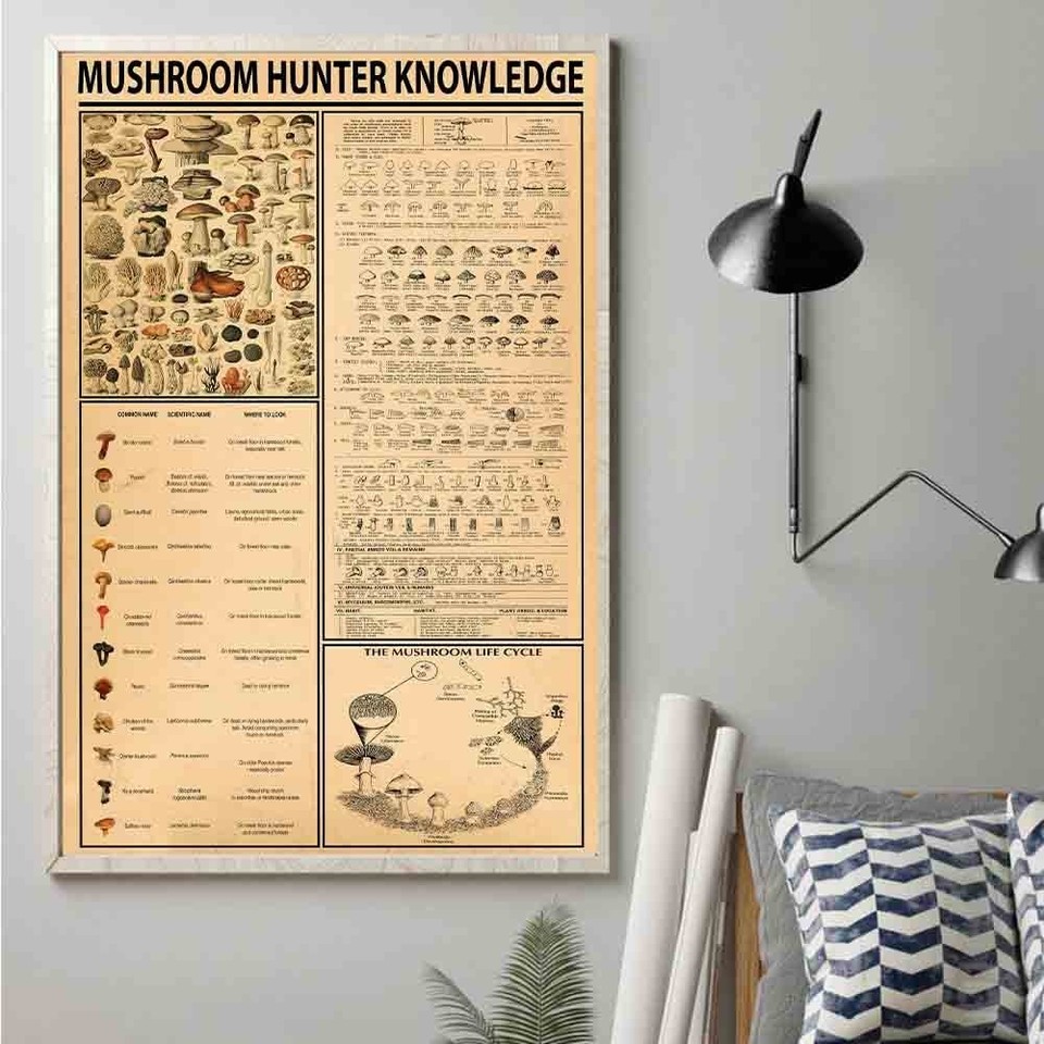 Mushroom Hunter Knowledge Poster Vintage Fungi Identification Chart | eBay