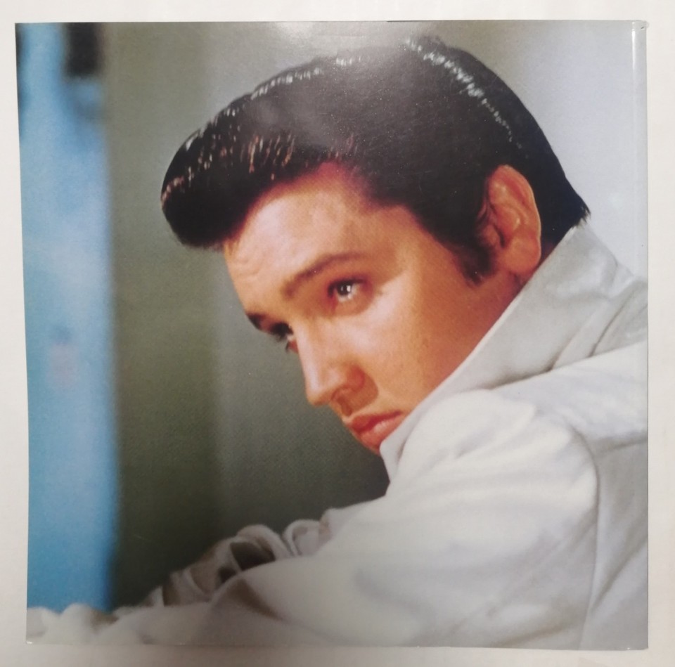 Elvis Presley Inside Loving You 2003 book Chris Giles Ger Rijff Trevor ...