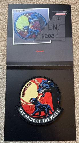USAF RAF Lakenheath 494th FGS 96-202 "Panther Cub" Nose Art PVC Patch ...