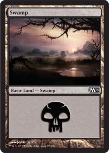Swamp (239) Light Play, English Magic the Gathering MTG Magic 2014 | eBay