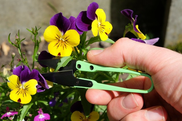 Deadheads Handy Deadheading Garden Mini Snips Snippers Green for sale ...