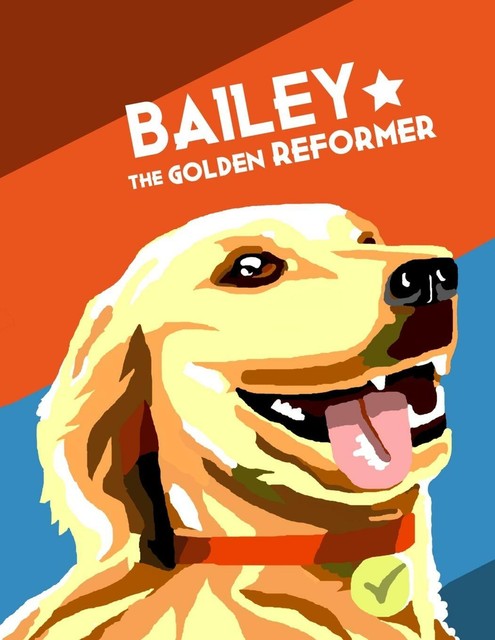 Bailey the Golden Reformer von Bailey First Dog (2020, Taschenbuch) for ...