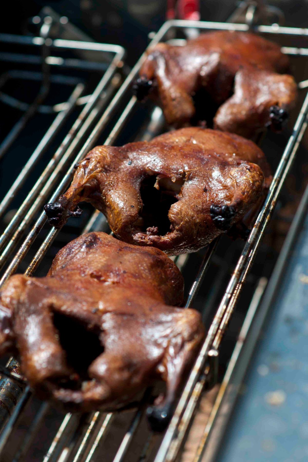 Roasting Oven with Motor, Spit, Cradle & Retainers for Pigs, Chickens ...