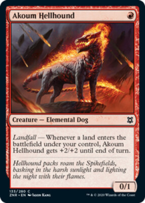 MTG-4x-Near Mint, English-Akoum Hellhound - Foil-Zendikar Rising | eBay