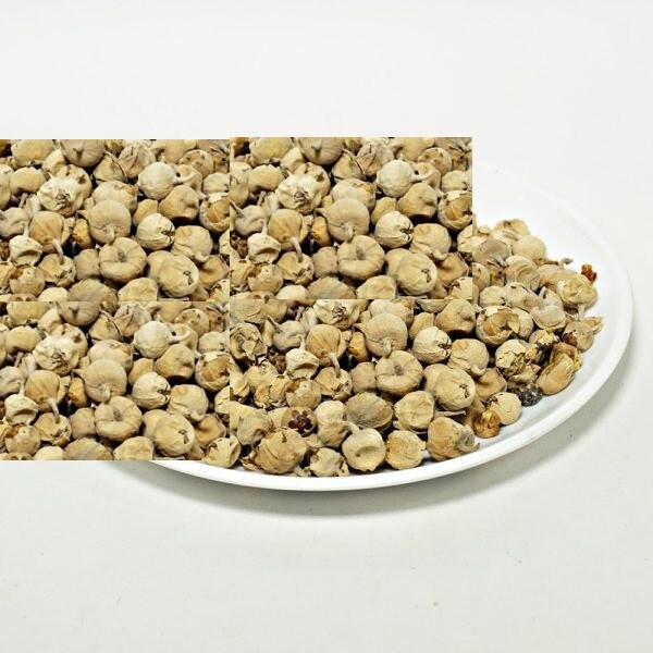 Paneer Doda – Paneer Dodi- Withania Coagulans 100% PURE NATURAL | eBay