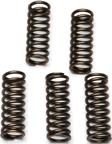 EBC CSK Clutch Spring Kit For Honda CBR1000RR 2004-2007 CSK112 | eBay