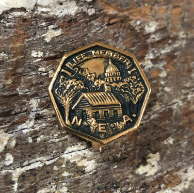VINTAGE NEA NATIONAL EDUCATION ASSN LIFETIME MEMBER PINBACK PIN | eBay