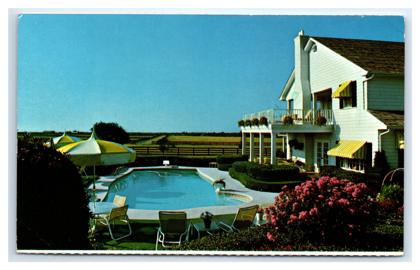 Dallas, TX Postcard- POOL AREA SOUTHFORK RANCH | eBay