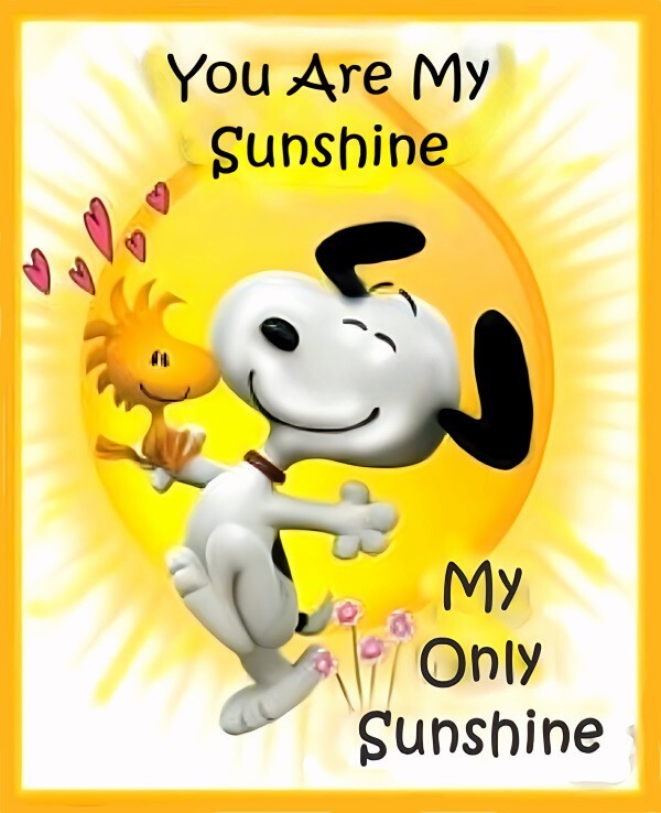 Animated You Are My Sunshine