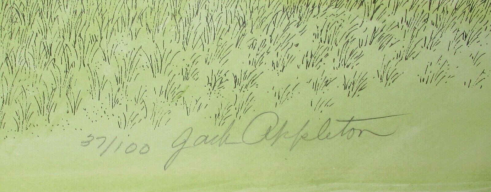 JACK APPLETON VICTORIAN HOUSE LIMITED EDITION HAND COLORED LITHOGRAPH ...